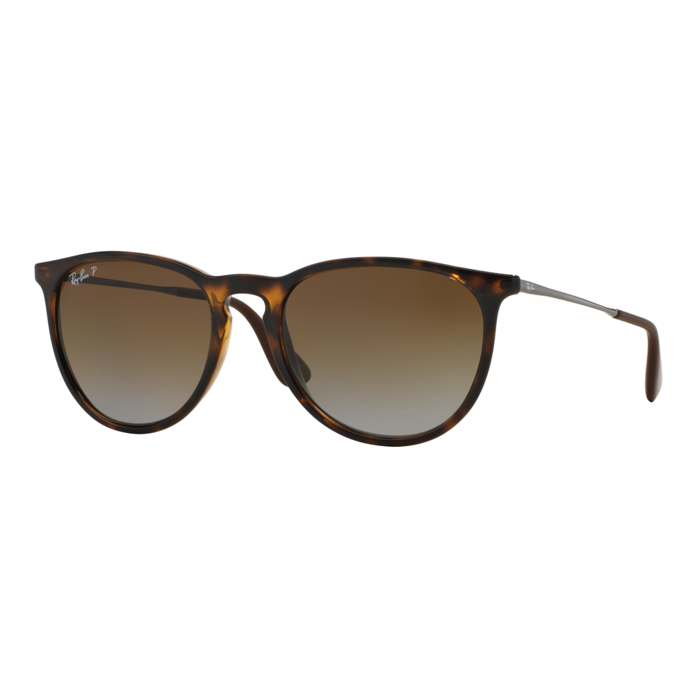 Ray-Ban Women's Polarized Erika Sunglasses - Links Unlimited Web Catalog