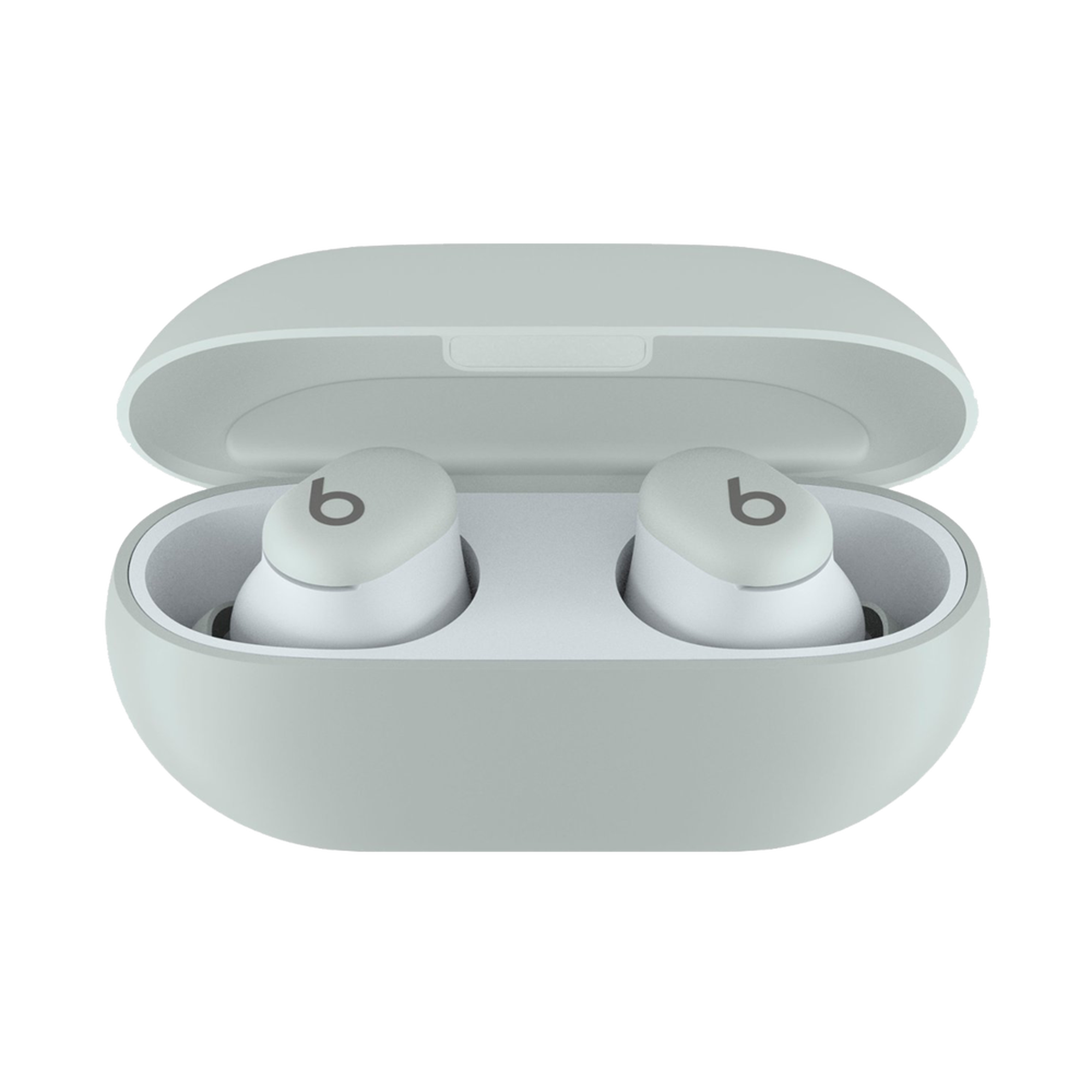 Beats Solo Buds - Storm Gray - Links Unlimited Web Catalog