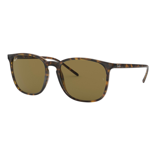 Ray-Ban RB4387 Sunglasses - Links Unlimited Web Catalog