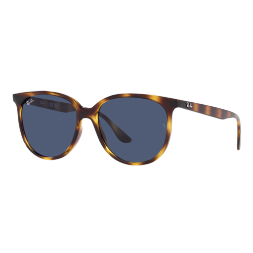 Ray-Ban RB4378 Sunglasses - Links Unlimited Web Catalog